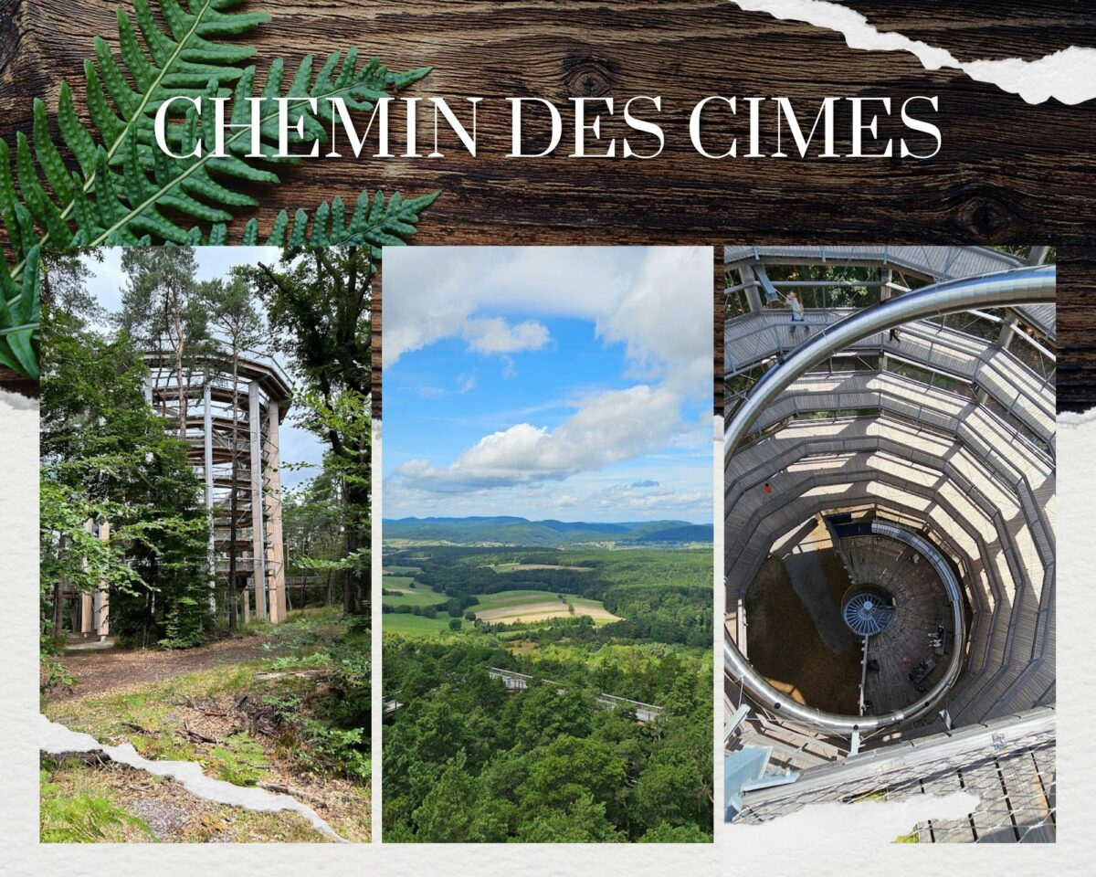 Découvrir le chemin des cimes en Alsace